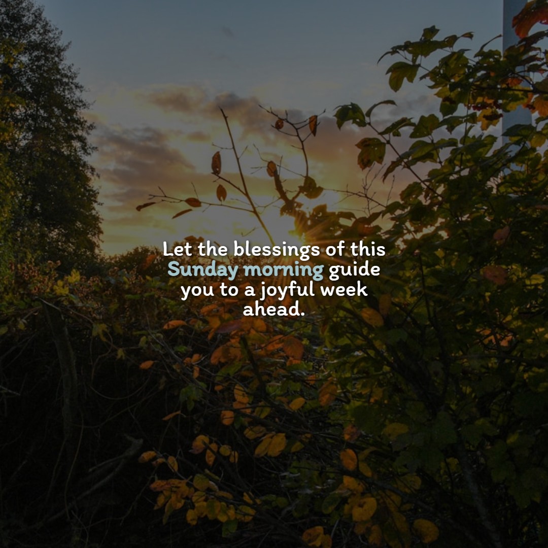 140+ Inspiring Sunday Quotes to Start Your Week Right - The Victor Mind