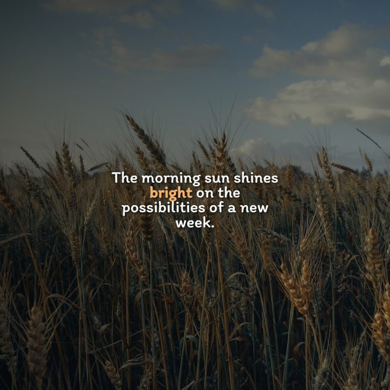 140+ Inspiring Sunday Quotes to Start Your Week Right - The Victor Mind