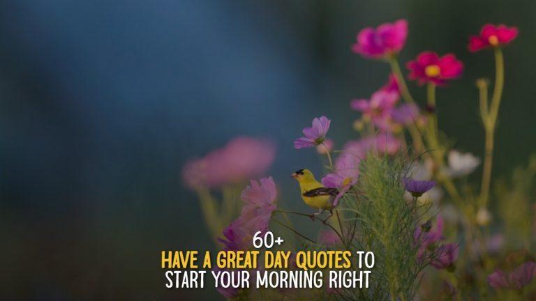 160+ ‘Have a Great Day’ Quotes to Start Your Morning Right - The Victor ...