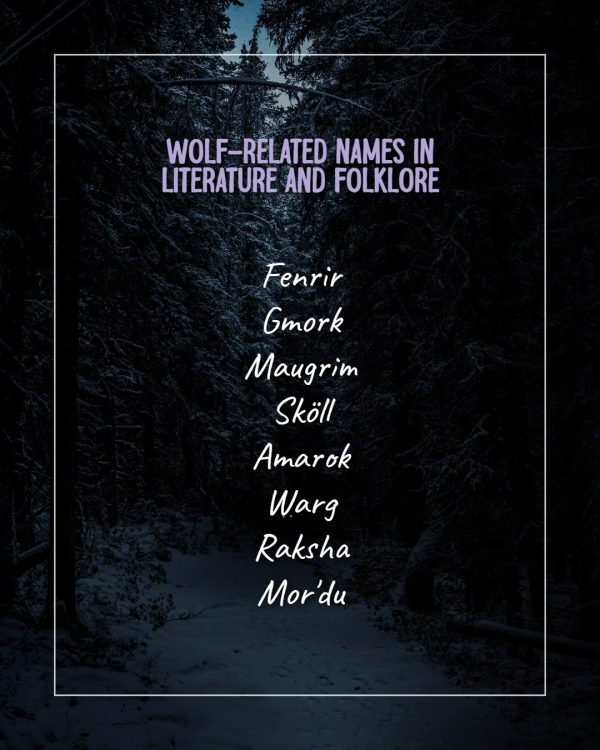 190+ Powerful Names That Mean Wolf – Explore Wolf-Inspired Names - The ...