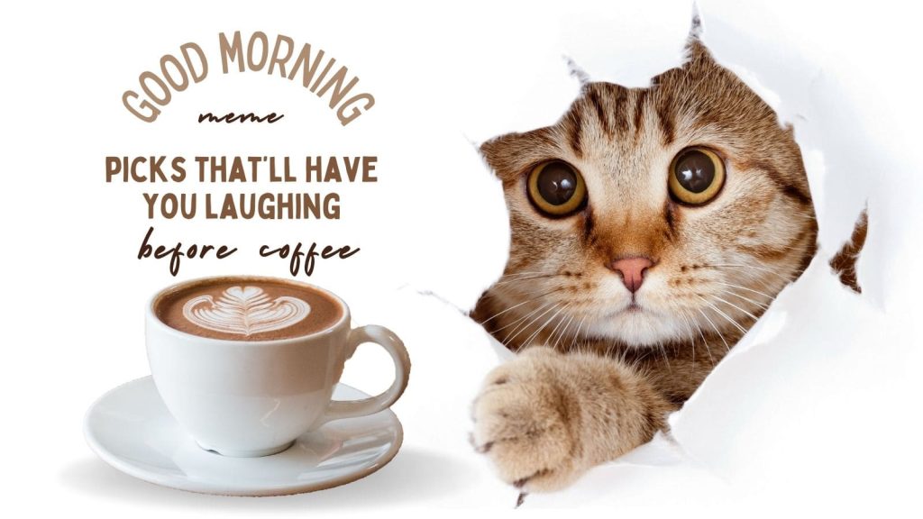 225+ Good Morning Meme Picks That’ll Have You Laughing Before Coffee ...