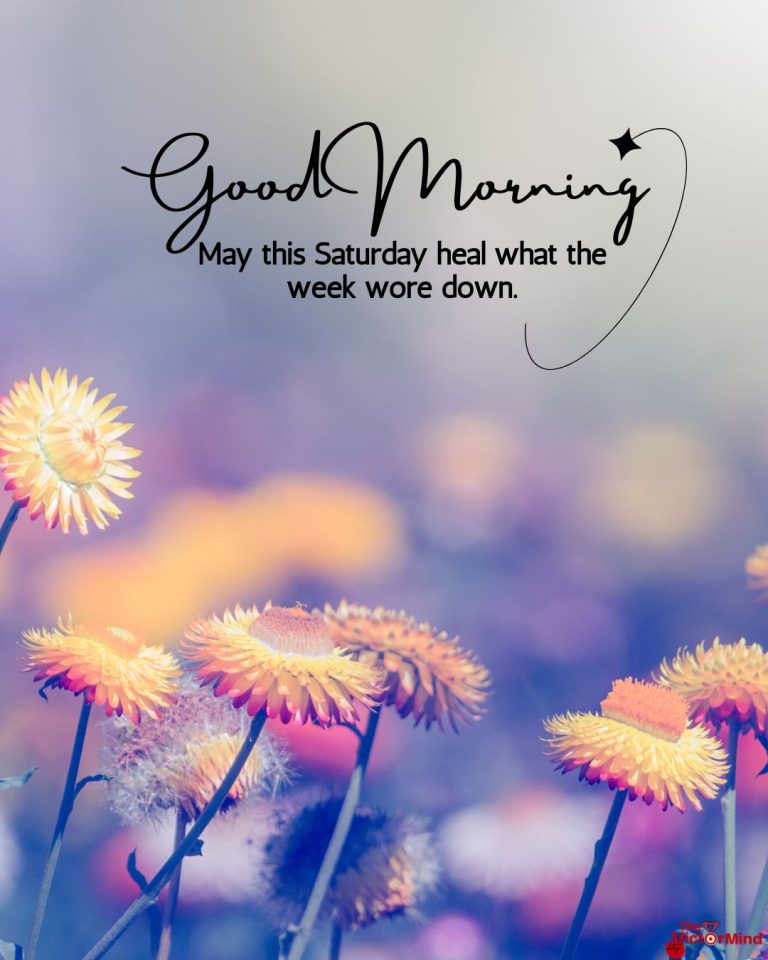 500+ Saturday Blessings: Peaceful Reflections to Start Your Weekend ...