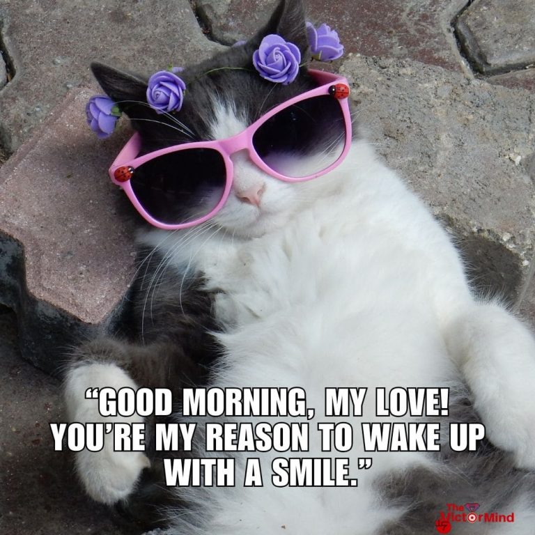 225+ Good Morning Meme Picks That’ll Have You Laughing Before Coffee ...