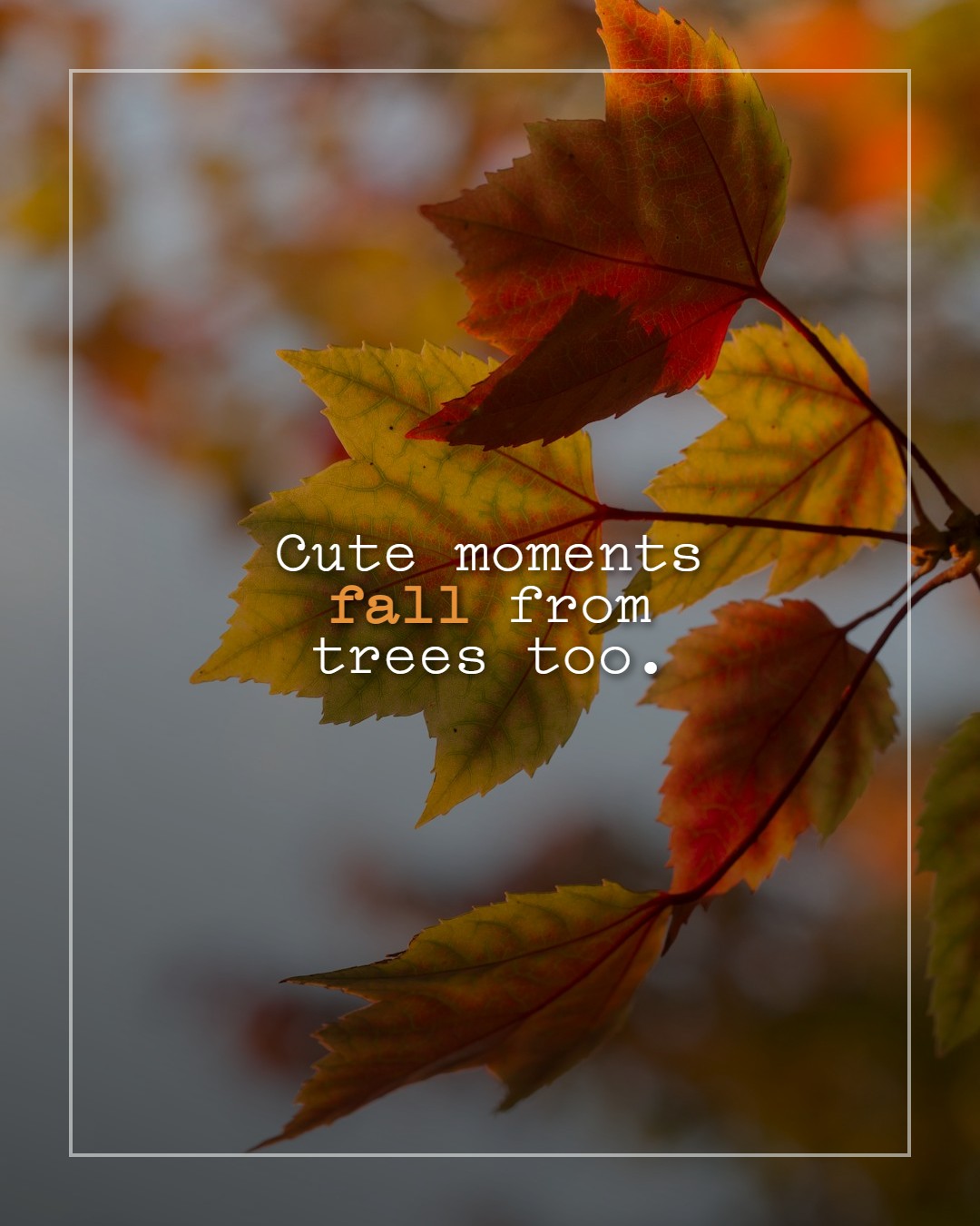 235+ Fall Quotes That Feel Like a Cozy Morning - The Victor Mind