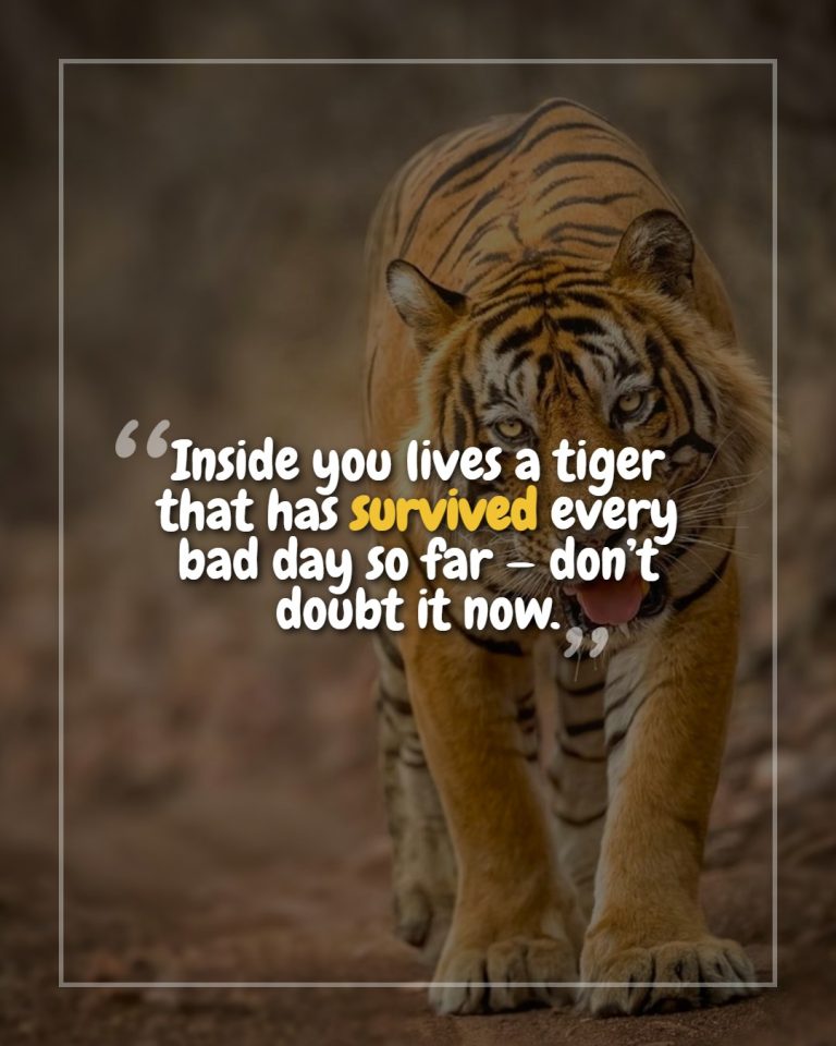 295+ Tiger Quotes About Strength and Courage - The Victor Mind
