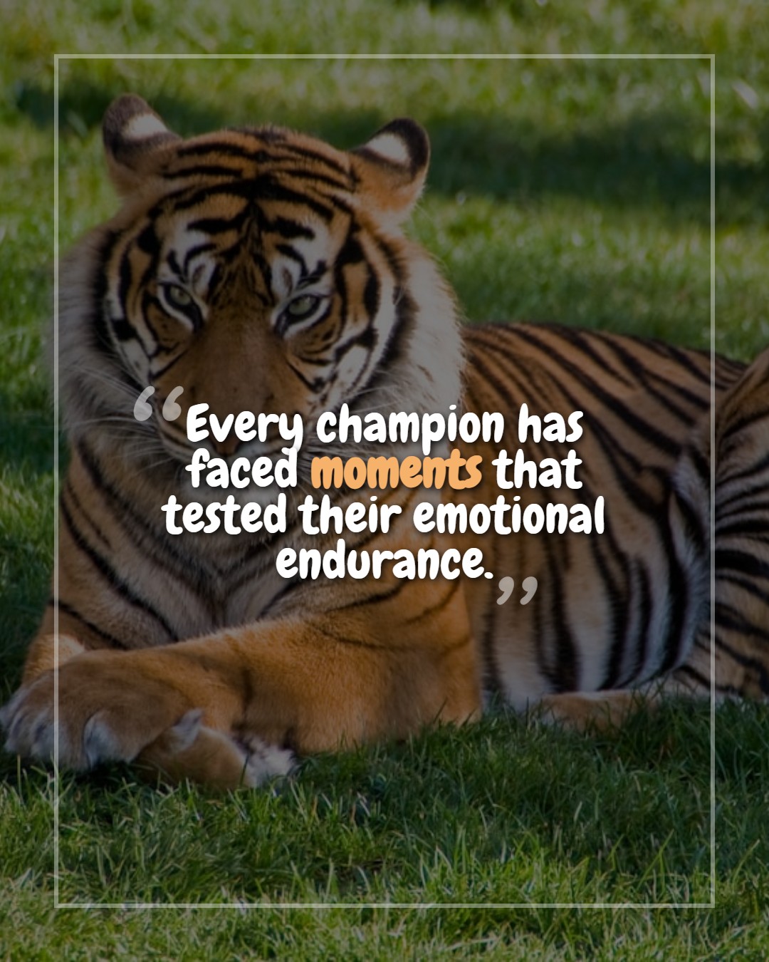 295+ Tiger Quotes About Strength and Courage - The Victor Mind